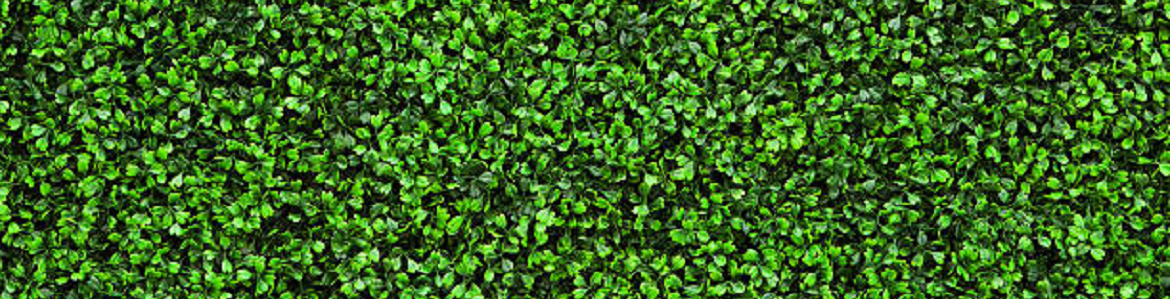 Pared revestida de seto artificial - Todas las plantas - Blog